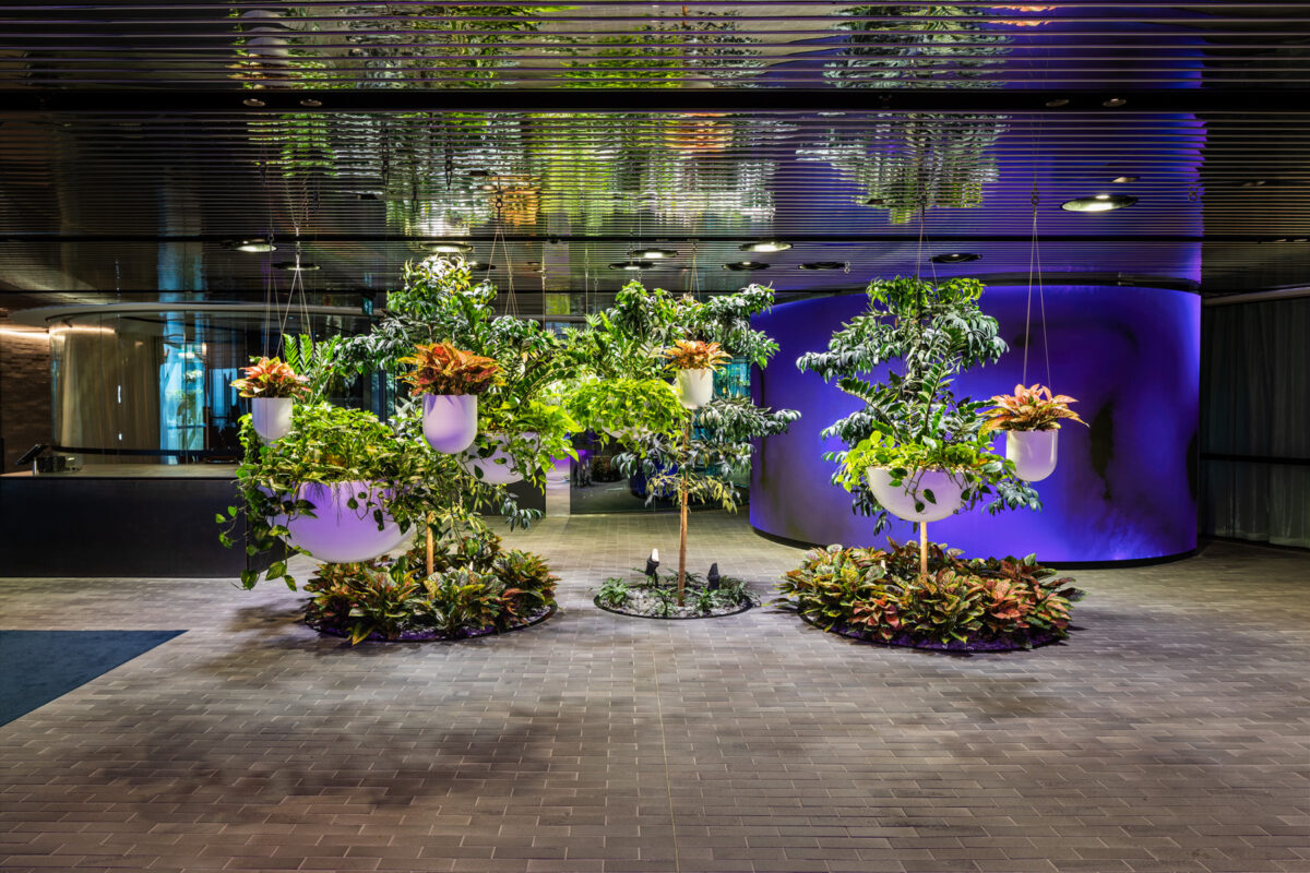 Workplace & Commercial – NDYLIGHT